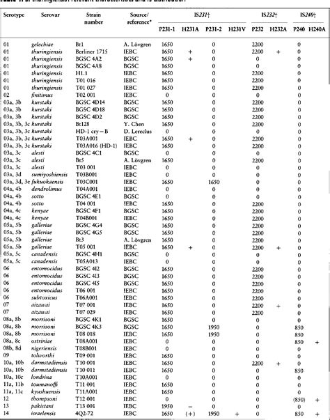 Bacillus Mycoides Semantic Scholar