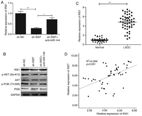 Xist Regulates Irs1 Expression And The Pi3kakt Signaling Pathway Via