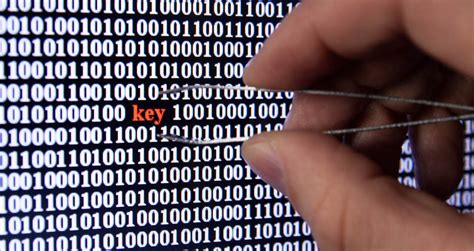 What Is Data Extraction Everything You Need To Know