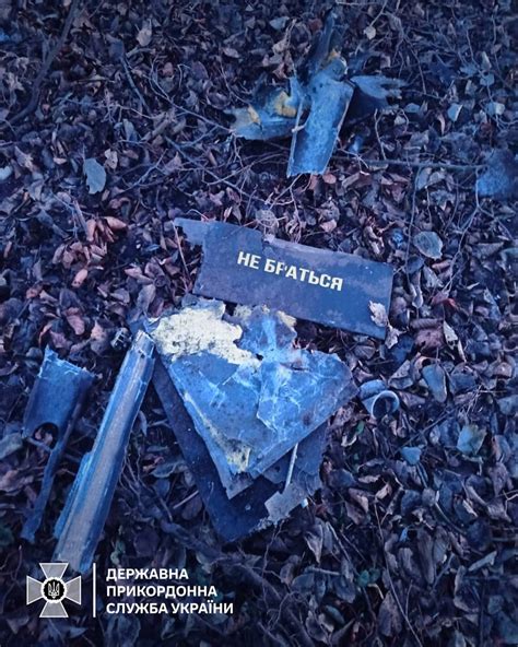 Прикордонники показали збитий над Сумщиною “Шахед” Читайте на Ukr Net