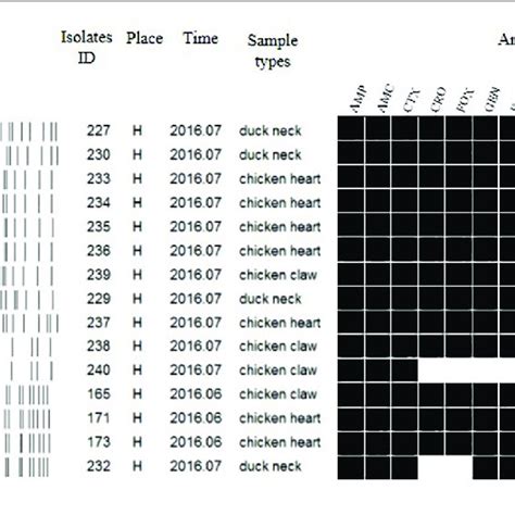 Dendrogram Of Pfge Profiles For 15 S Typhimurium Isolates Their