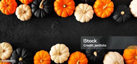할로윈 색상 오렌지 검은 색과 흰색 검은 배경에 가을 호박 이중 국경 배너 배경 주제에 대한 스톡 사진 및 기타 이미지 배경