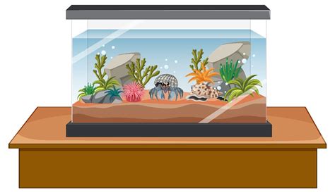 Your Guide To Setting Up A Freshwater Aquarium Tips Supplies And Ma