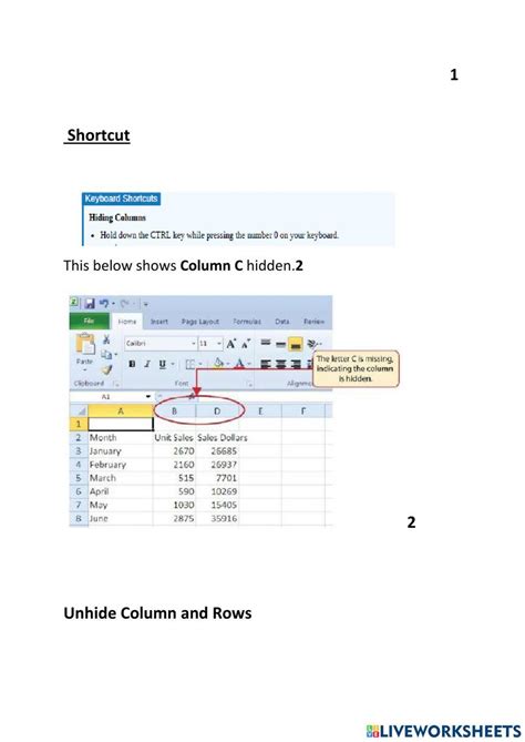 Lesson 7 Hiding And Unhiding Columns And Rows Worksheet Live Worksheets