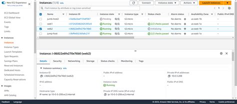 Github Mayadamagdy Lab Aws