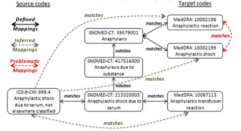 Terminology Mapping Defined And Inferred Mappings Between Icd 9 Cm And Download Scientific