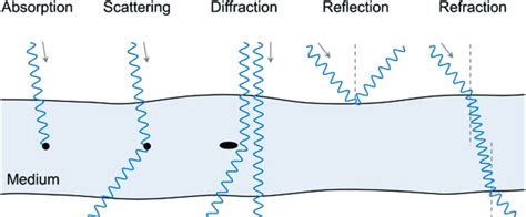 The Different Light Material Interaction Processes Absorption Download Scientific Diagram