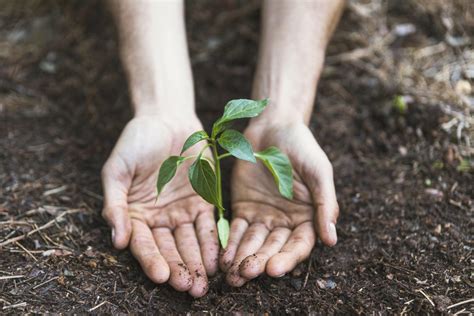 Lead Nurturing Definition And Examples Monday Blog