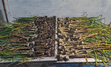 Lowers The Level Of Trust