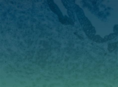 Atomx™ Spatial Informatics Platform Sip Nanostring