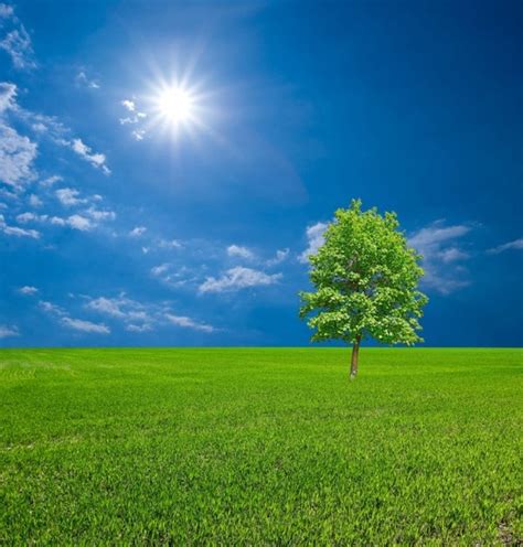 Natural Fantasia Hd Picture Free Stock Photos In Image Format