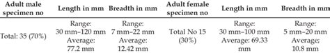 Showing Measurements Of Vermiform Appendix In Adults Download Scientific Diagram