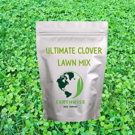 Ultimate Clover Lawn Mix Low Maintenance Eco Friendly Yard