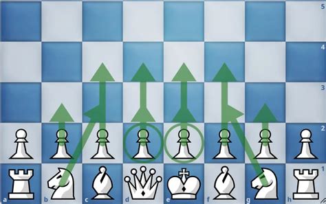 Chess 101 Attacking Chess