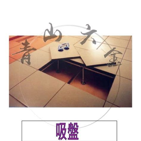 『青山六金』附發票 高架 地板 專用 強力 吸盤 Wh 9602cl 玻璃 真空 吸盤 施工 用 Yahoo奇摩拍賣
