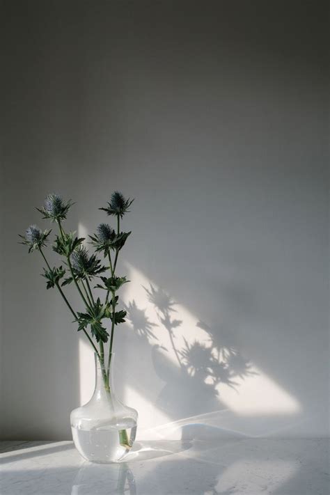 Pin By Sophie Dorn On Easter 2018 Light And Shadow Photography