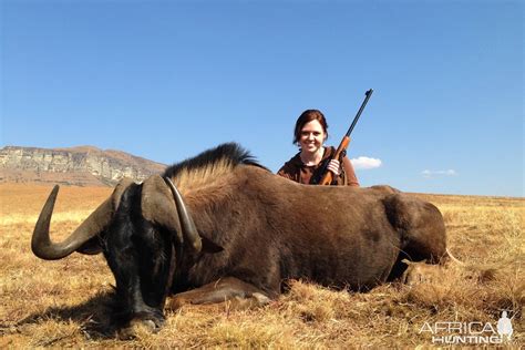 Black Wildebeest Hunt