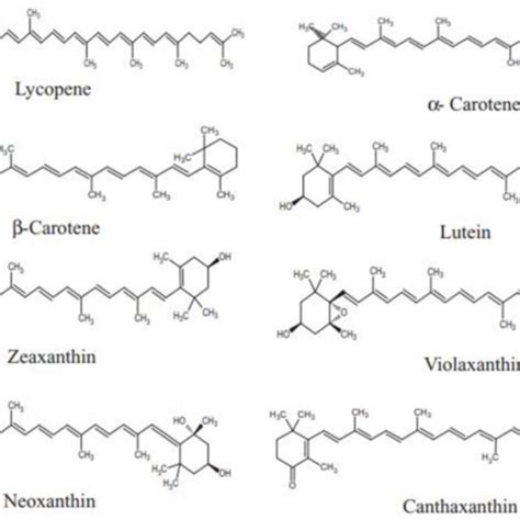 Classification And Sources Of Carotenoids Download Scientific Diagram