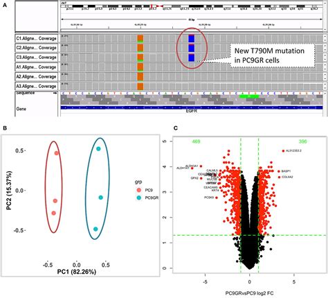 Frontiers Transcriptome Profiling Of Acquired Gefitinib Resistant