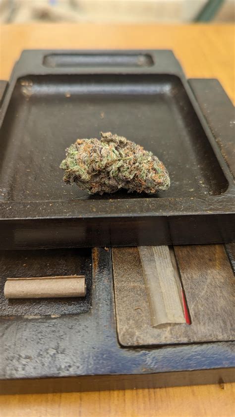A Cute Lil Nug For You Rweedporn