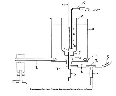 Chemistryorgan Bath Handwiki