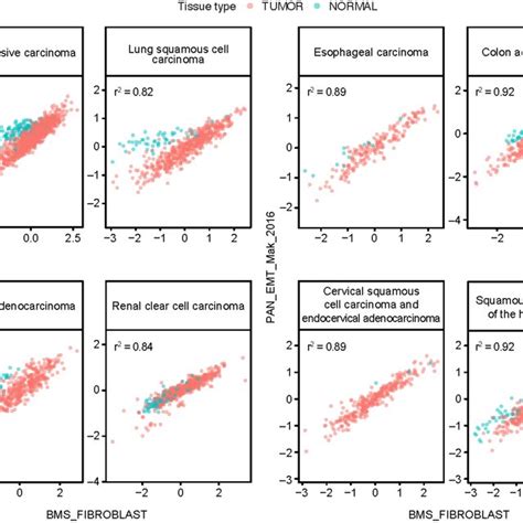 Scrna Seq Of Tumor Samples A Identification Of Cell Type In