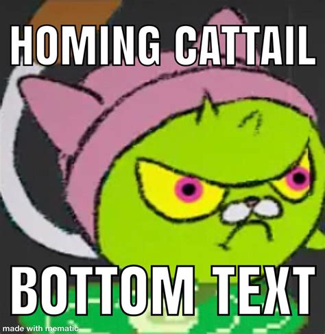 From Eclise Customs Contest Plantsvszombies