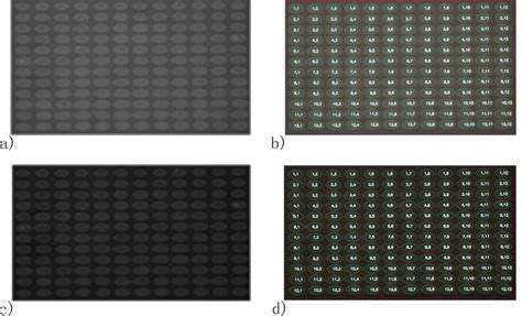 Automatic Spot Identification Results Of The Fkbp12 Microarray For