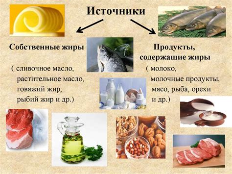 Жиры виды значение в питании гигиенические нормы источники Online