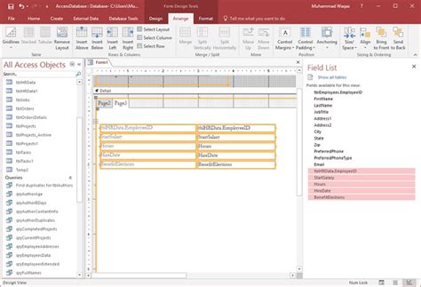 ms access controls and properties