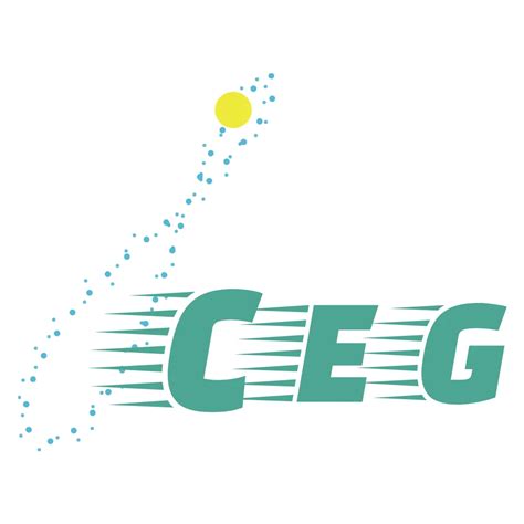 Company Overview Ceg Energy Industry Limited
