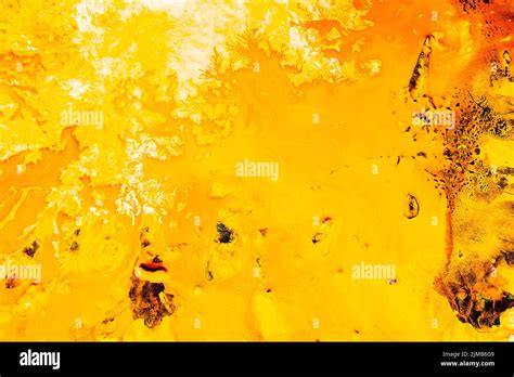 Abstract Autumn Forest Yellow Paint Background Stock Photo Alamy