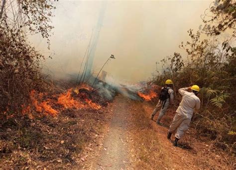 El Riesgo De Incendios Forestales En Venezuela Se Mantendrá Hasta Mayo