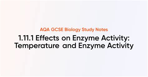 Effects On Enzyme Activity Temperature And Enzyme Activity 1 11 1 Aqa Gcse Biology Notes