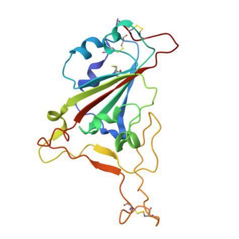 RCSB PDB 7YH6 Structure Of SARS CoV 2 Spike RBD In Complex With Neutralizing Antibody NIV 8