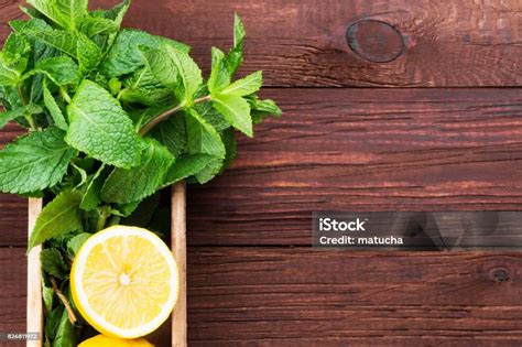 레모네이드레몬 박하 나무 배경에 나무 상자에 대 한 성분 보기 상위 공간을 복사 합니다 음식 배경 0명에 대한 스톡 사진 및 기타 이미지 Istock