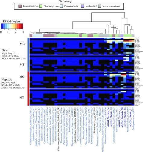 Metagenomics And Metatranscriptomics Reveal Broadly Distributed Active