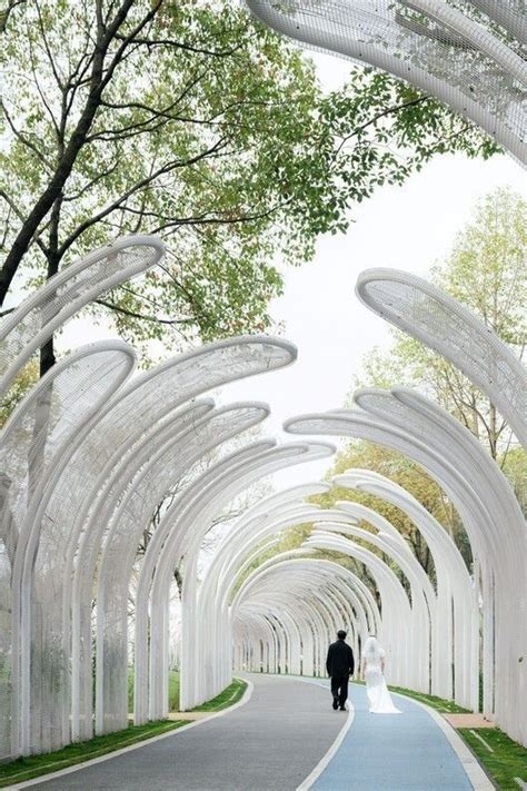 Abstract Tree Like Structure With Patterned Shadows On The Ground Pavilion Designs Are T