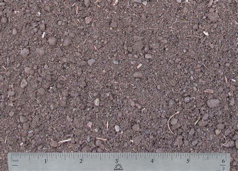 Native Soil Khám Phá Ý Nghĩa Ví Dụ Câu Và Cách Sử Dụng Cụm Từ Native Soil