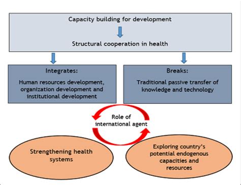 Figure E Model For Structuring Cooperation For Health Source Almeida
