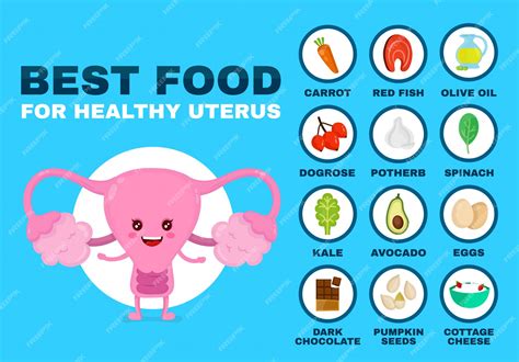 Premium Vector Best Food For Strong Uterus Strong Healthy Uterus
