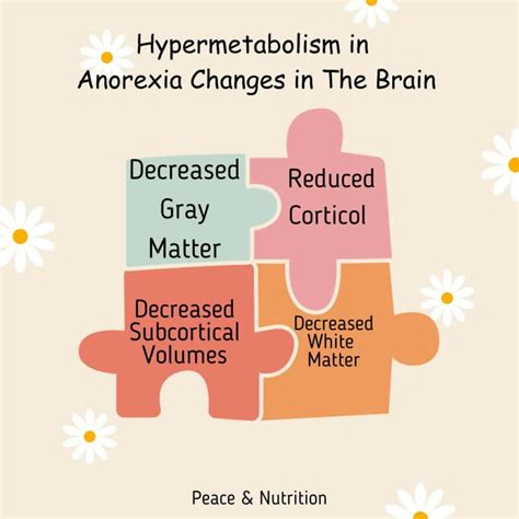 Understanding Hypermetabolism In Anorexia Peace And Nutrition™