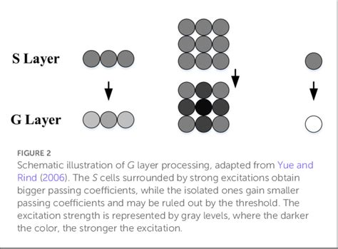 Figure 2 From Enhancing Lgmd Based Model For Collision Prediction Via