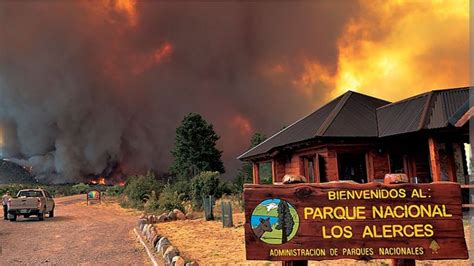 Incendio En El Parque Nacional Los Alerces Ya Se Quemaron 2 000