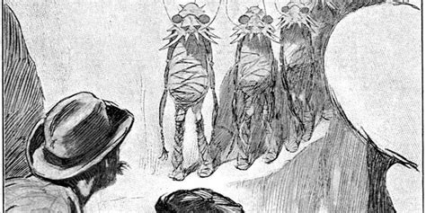 Mannetjes Op De Maan