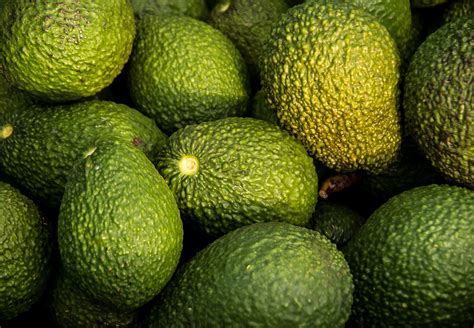 4 000 Free Clipart Avocados And Avocado Images Pixabay