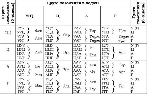 Основні властивості генетичного коду Біосинтез білка ОБМІН І