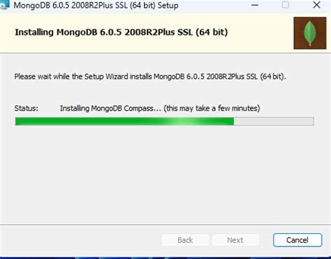 Install And Setup MongoDB On Windows Or Mac