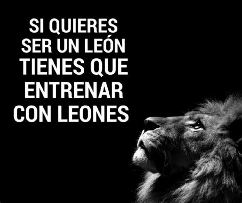 Si quieres ser un león Frases motivacion exito Frases de vida