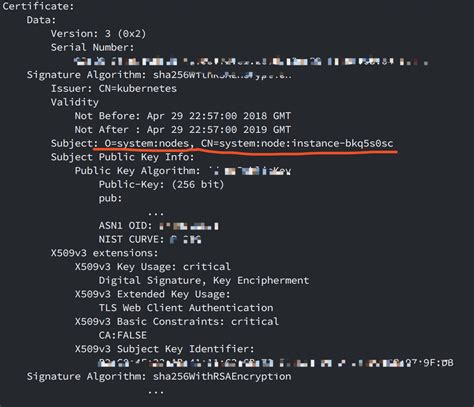 K8s 基于 Kubeadm 的安全配置和高可用 Ggaaooppeenngg